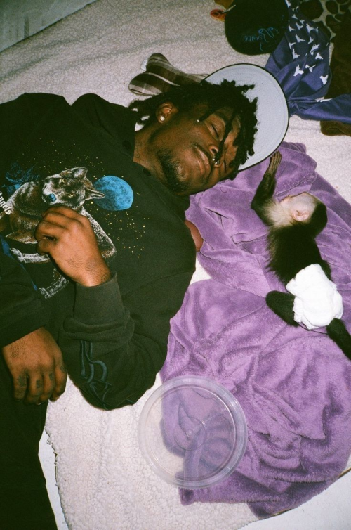 2020 Rap Album Cover Art Tier List (Community Rankings) - TierMaker