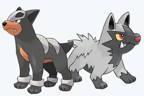 Create a Regional Dog Pokemon Tier List - TierMaker