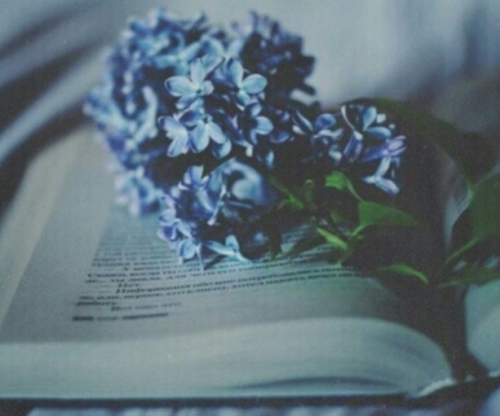 Create a Book Ranking Tier List - TierMaker