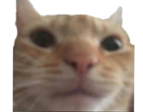 Create a swag frogs Tier List - TierMaker