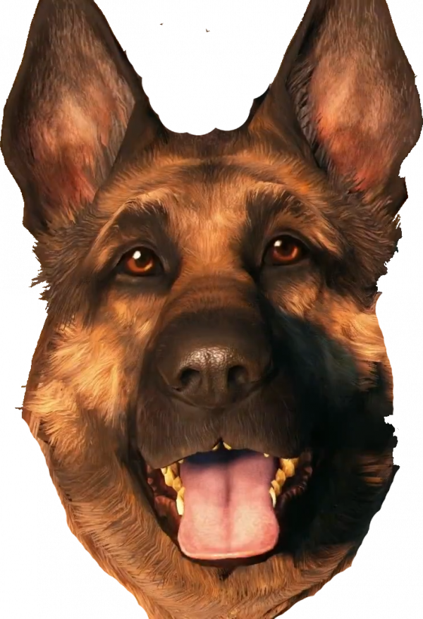 Create A Fallout 4 Companions Tier List Tiermaker