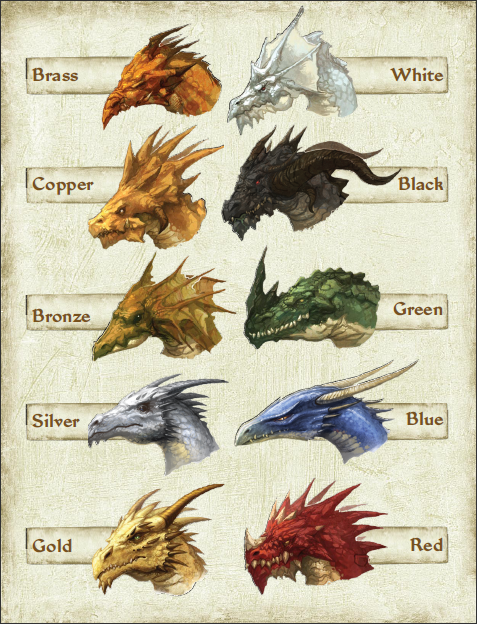 Draconic Colors Tier List (Community Rankings) - TierMaker