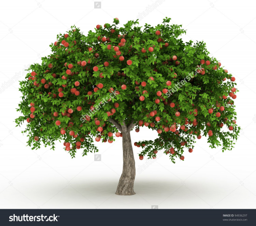 Create a apple tree Tier List - TierMaker