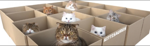 Create a Kittysaurus' cats Tier List - TierMaker