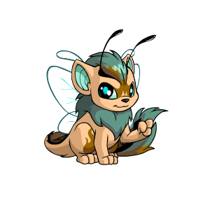 Faerie Neopets Tier List (Community Rankings) - TierMaker