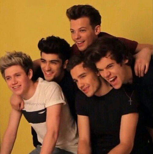 Create a One direction ships Tier List - TierMaker