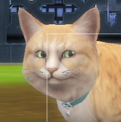 PUSIO TIER LIST Tier List (Community Rankings) - TierMaker