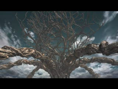 Divine Tree Species Tier List (Community Rankings) - TierMaker