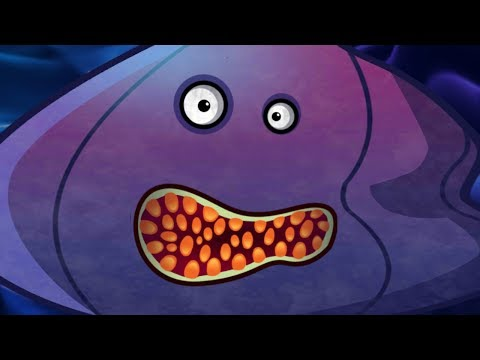 Pvz heroes rng cards Tier List (Community Rankings) - TierMaker