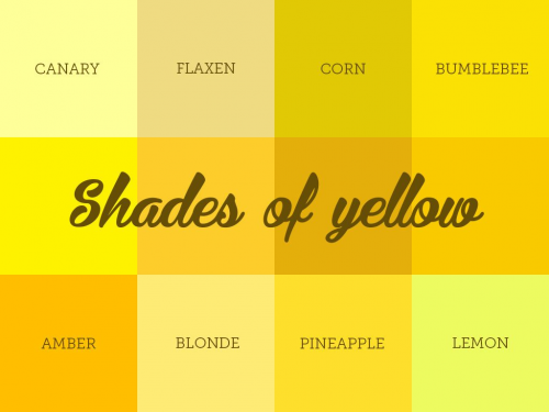 Create a Shades of yellow Tier List - TierMaker
