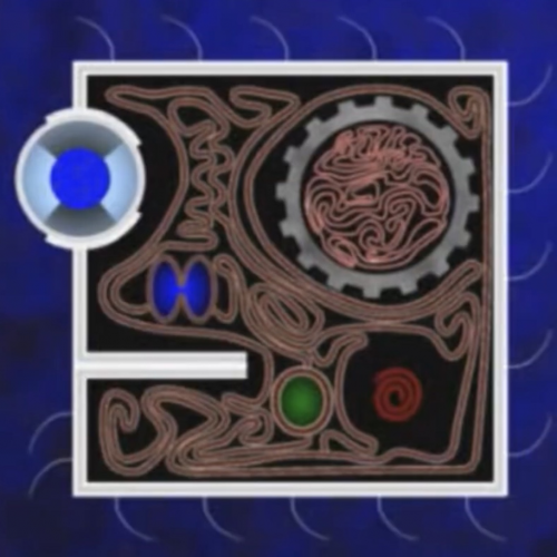 Create a Flatland Characters Tier List - TierMaker