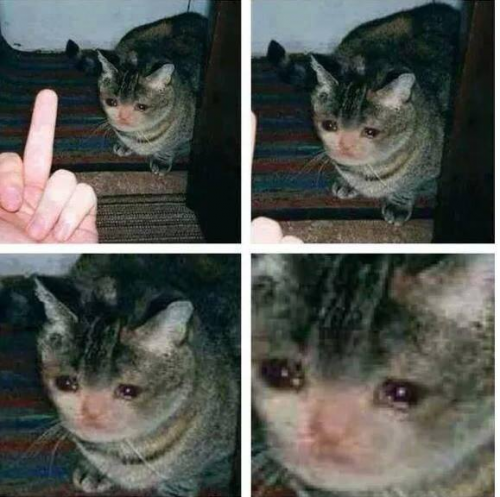 Create a sadcat memes Tier List - TierMaker