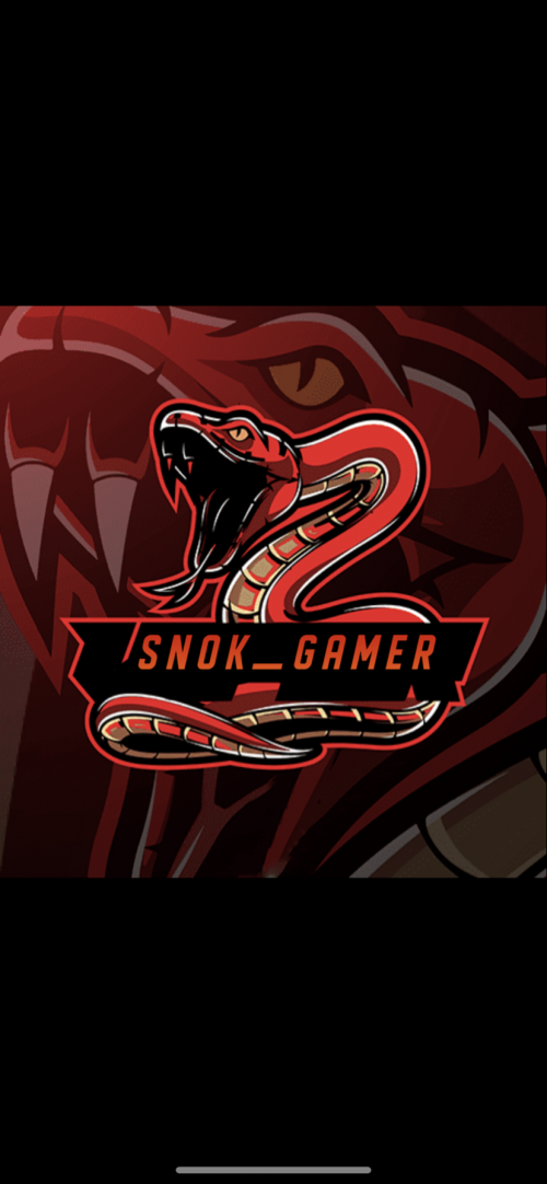 Snok Gamer Tier List (Community Rankings) - TierMaker