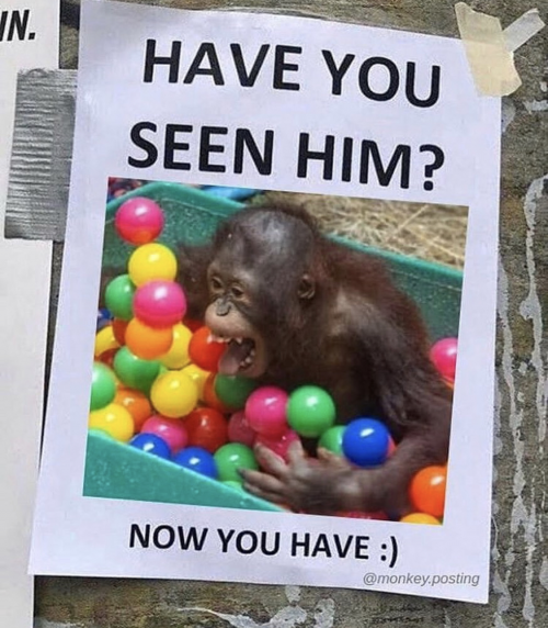 Word Tier List (Community Rank) - TierMaker