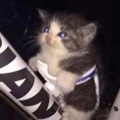 Create a marvin core // favourite albums Tier List - TierMaker