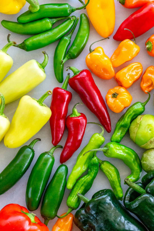 Create a Tastey Hot Pepper Tier List - TierMaker