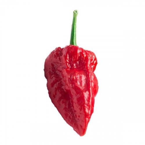 Create a Hot Pepper Tier List - TierMaker