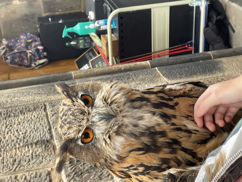 Create a a level's Tier List - TierMaker