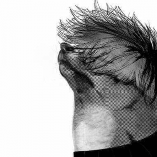 ABD Player Rankings Tier List (Community Rankings) - TierMaker