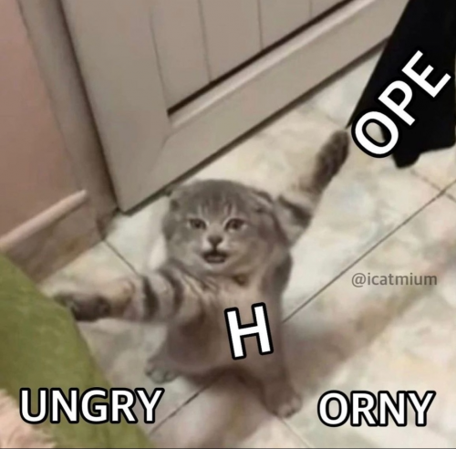 Create a Acadia Ships: edição Venatoris Tier List - TierMaker