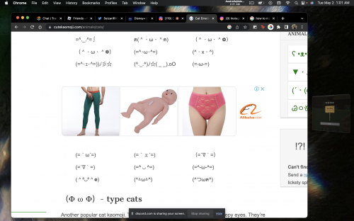Create a acsl 28 Tier List - TierMaker