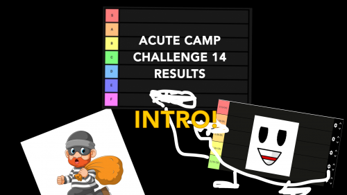 Create A Acute Camp Challenge 14 Entry Rankings Tier List Tiermaker