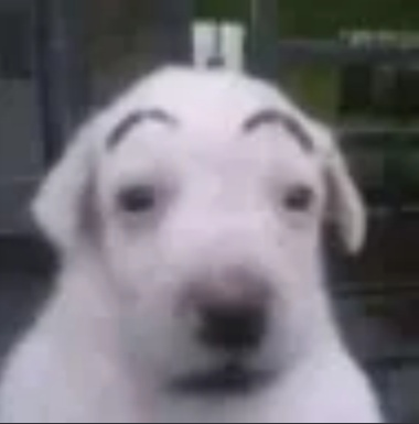 Create a AE Plugins Tierlist Tier List - TierMaker