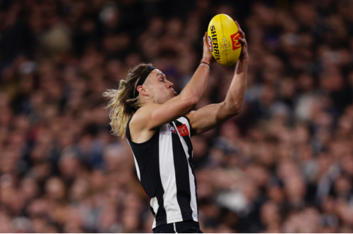 Create a AFL key defenders 2023 Tier List - TierMaker