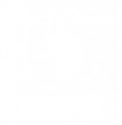 Alex sm photo Tier List (Community Rankings) - TierMaker