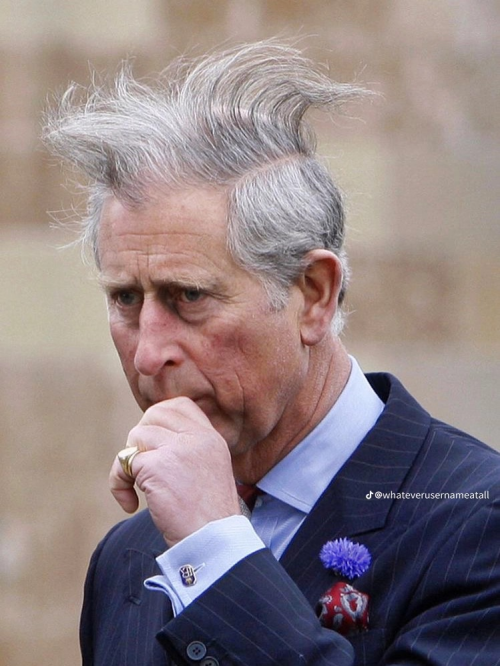 Create a Alfie and co Tier List - TierMaker