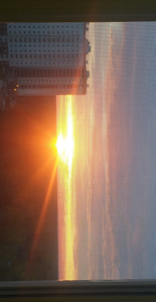 Alice'ss characters Tier List (Community Rankings) - TierMaker