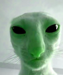 Create a alien cat love Tier List - TierMaker