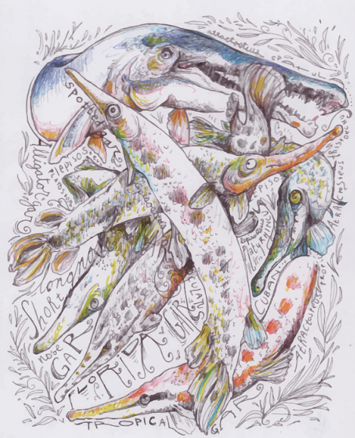 Create a All 7 types of Gar v.2 Tier List - TierMaker