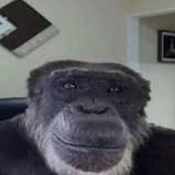 Create a All GTAG cosmetics Tier List - TierMaker