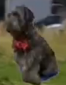 all KPR characters Tier List (Community Rankings) - TierMaker