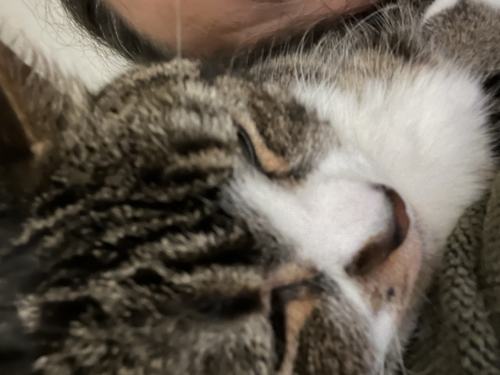 All t swizzle songs Tier List (Community Rankings) - TierMaker