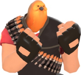 All TF2 Bird Heads Tier List (Community Rankings) - TierMaker