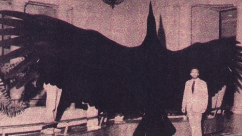 American Cryptids Tier List (Community Rankings) - TierMaker