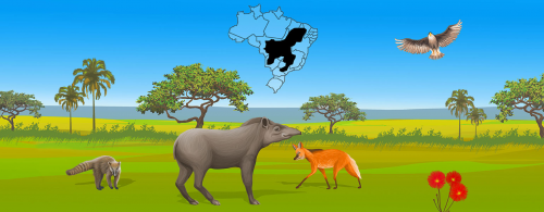 Animais do Cerrado Tier List (Community Rankings) - TierMaker