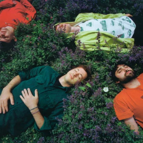 Animal Collective MOST SONGS (2023) Tier List (Community Rankings ...