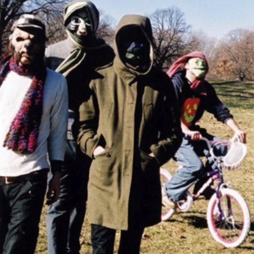 Create a Animal collective/plus side stuff! Tier List - TierMaker