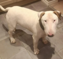 Create a anime lsit by me Tier List - TierMaker