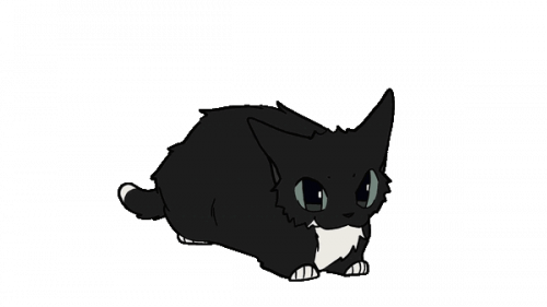 Anime watched Tier List (Community Rankings) - TierMaker