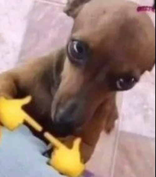 animes do gustavo Tier List (Community Rankings) - TierMaker