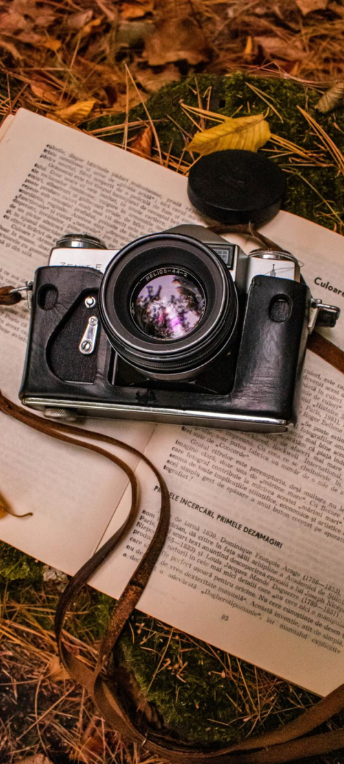 Annual watchlist ranking (2022) Tier List (Community Rankings) - TierMaker