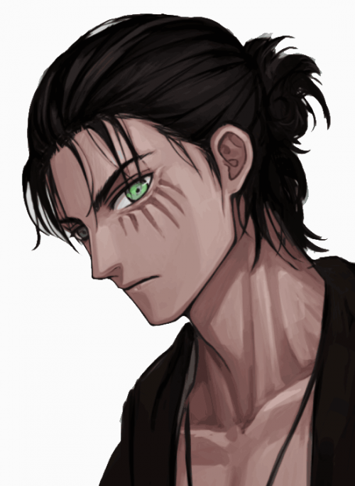 Aot Graduation Ranks Chart