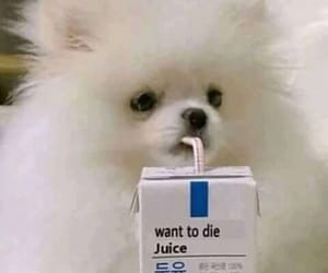 Create a ap classes Tier List - TierMaker