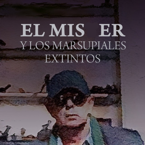 Create a Aqui podemos observar los distintos tipos de miser Tier List ...