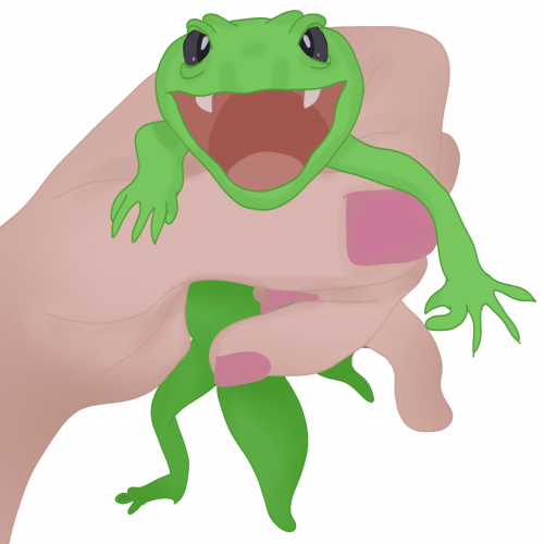 Create a art hobbies Tier List - TierMaker