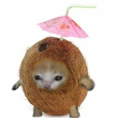 Create a asmr food ranking Tier List - TierMaker